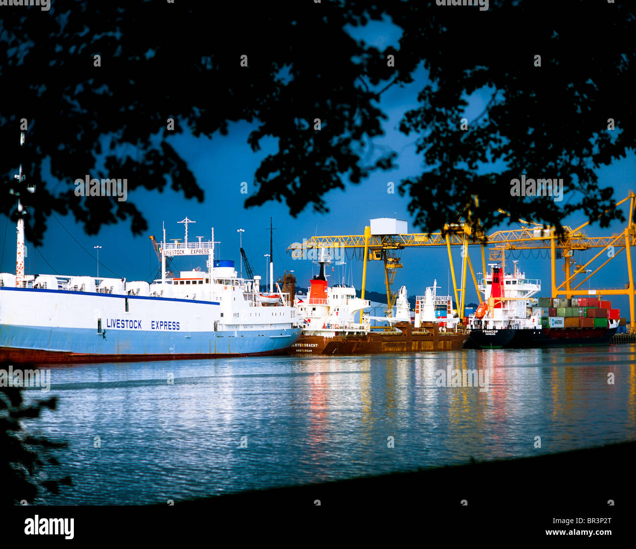 Cork, Co Cork, Ireland, Docks Stock Photo - Alamy