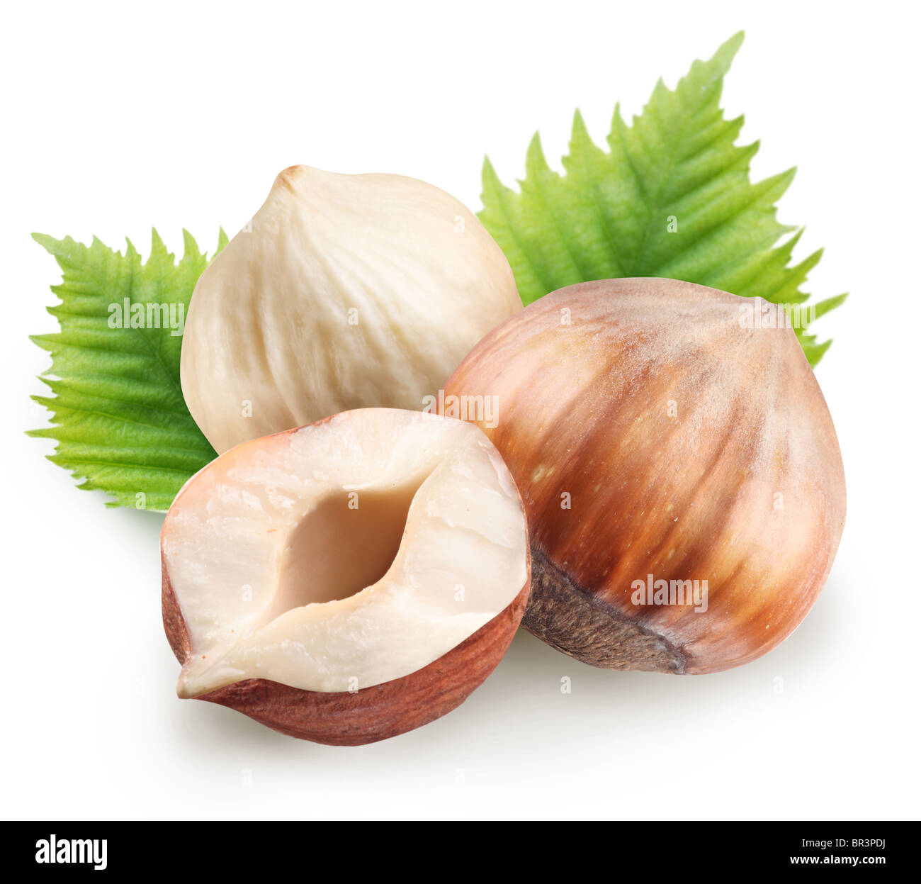 Group of filberts with leaves. Isolated on a white Stock Photo - Alamy