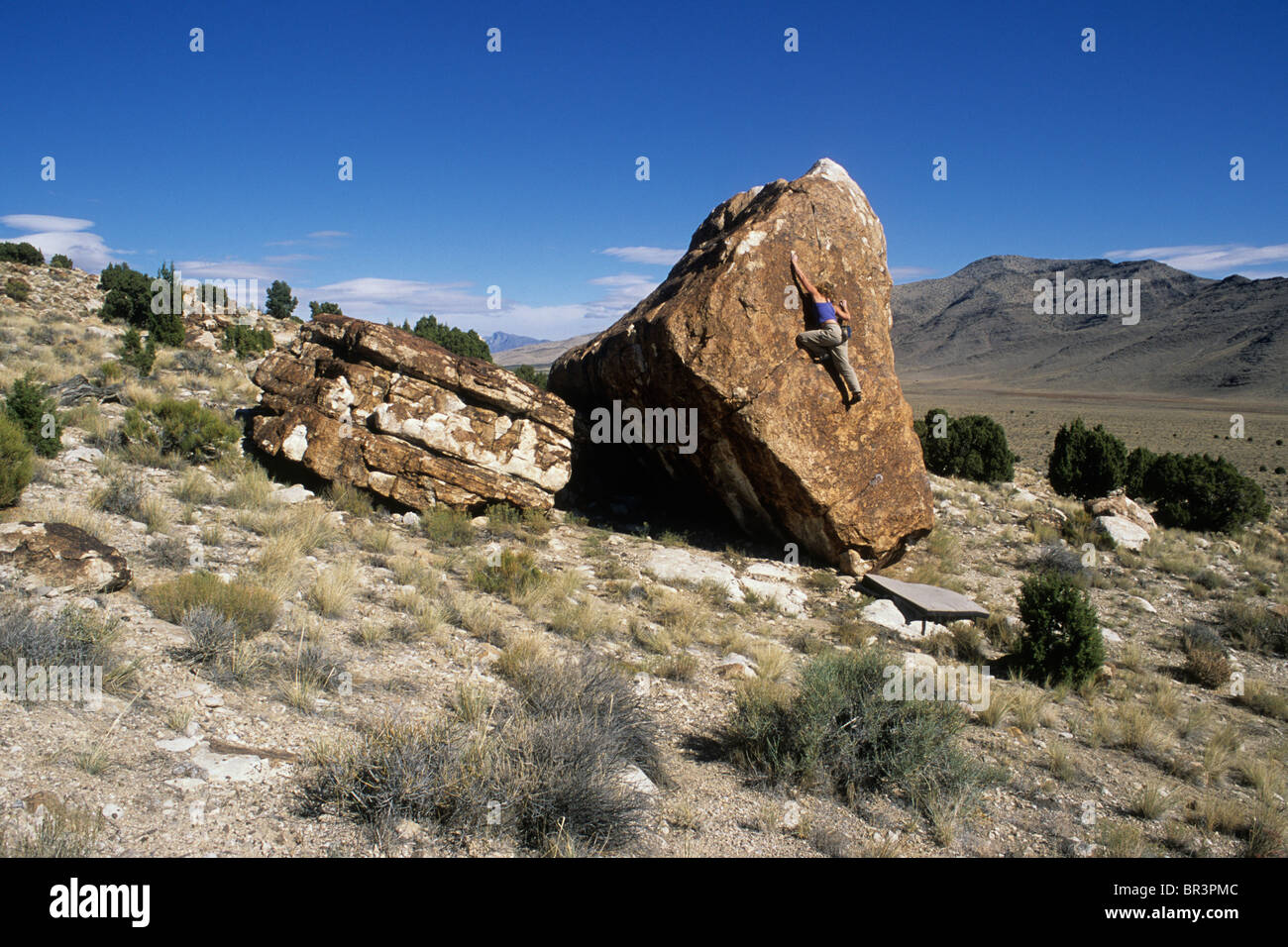 Usa gymnastic hi-res stock photography and images - Alamy