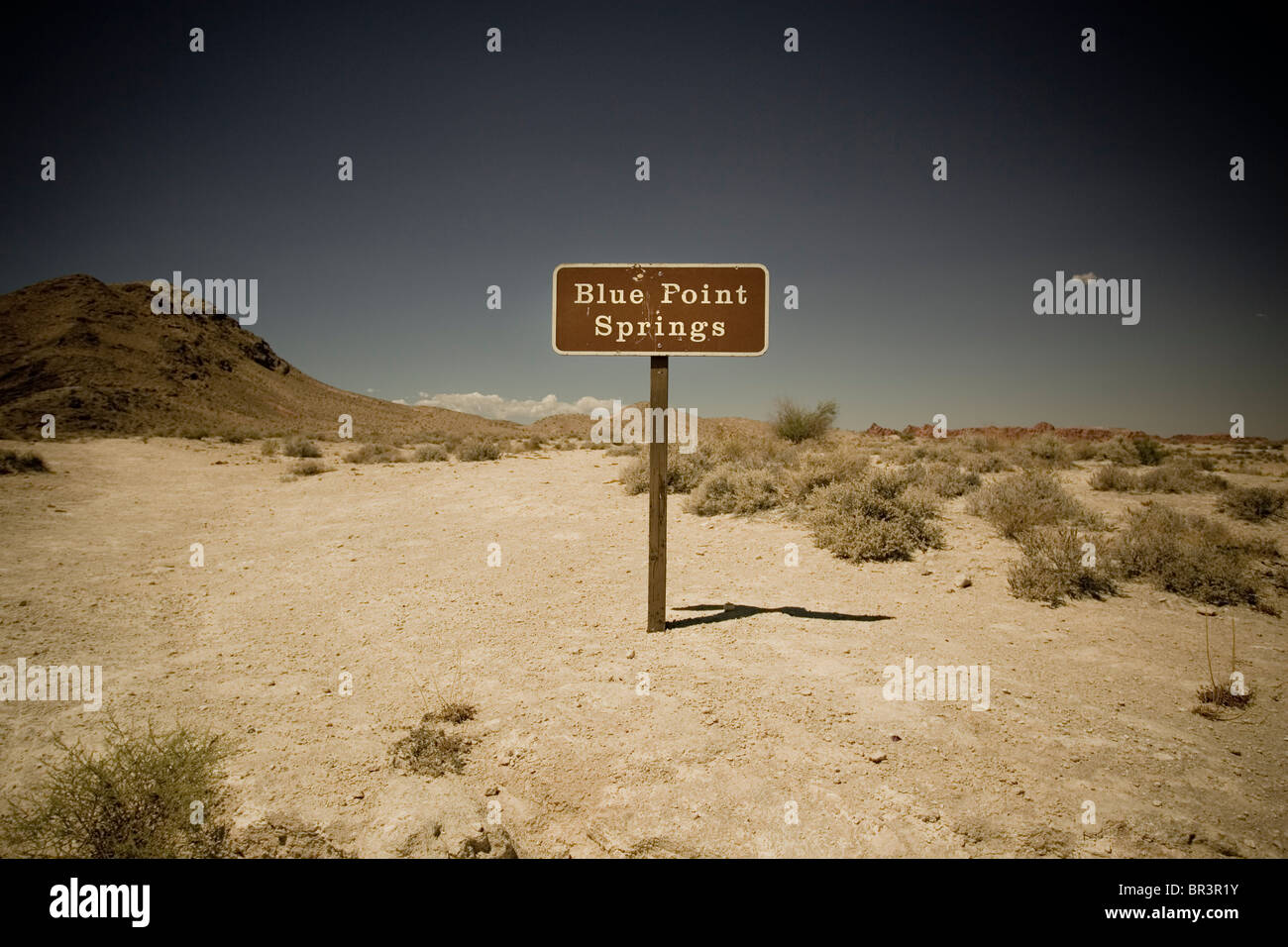 Blue Point Springs, Nevada, USA Stock Photo - Alamy