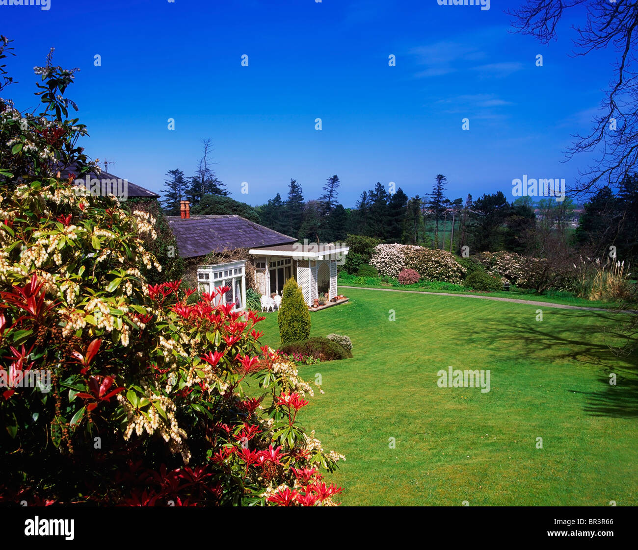 Sandyford dublin hi-res stock photography and images - Alamy