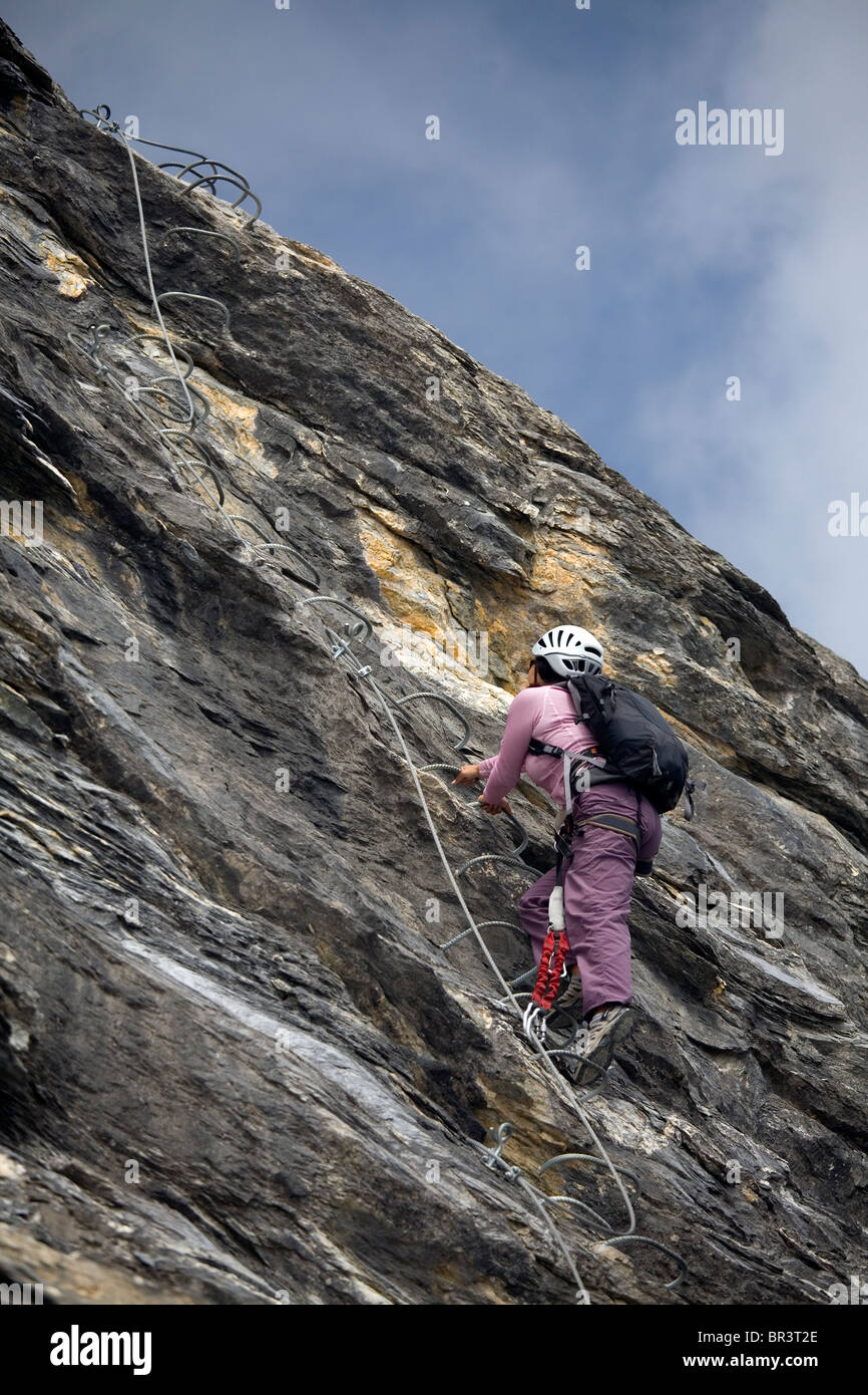 Person Climbing A Ladder High Resolution Stock Photography and Images ...