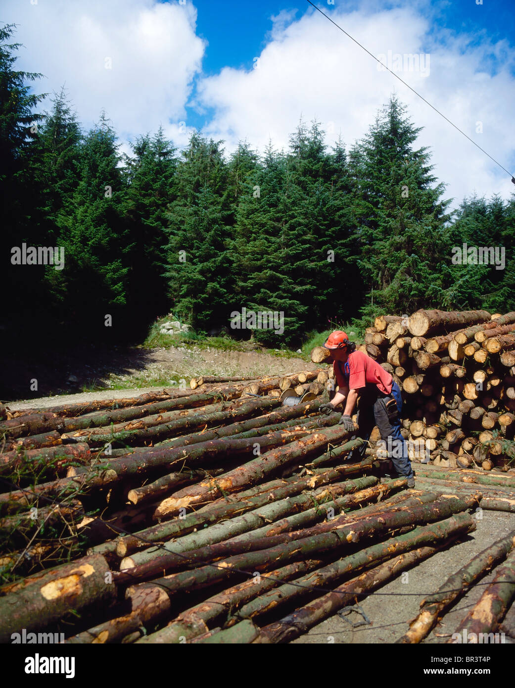 Foresting ireland hi-res stock photography and images - Alamy
