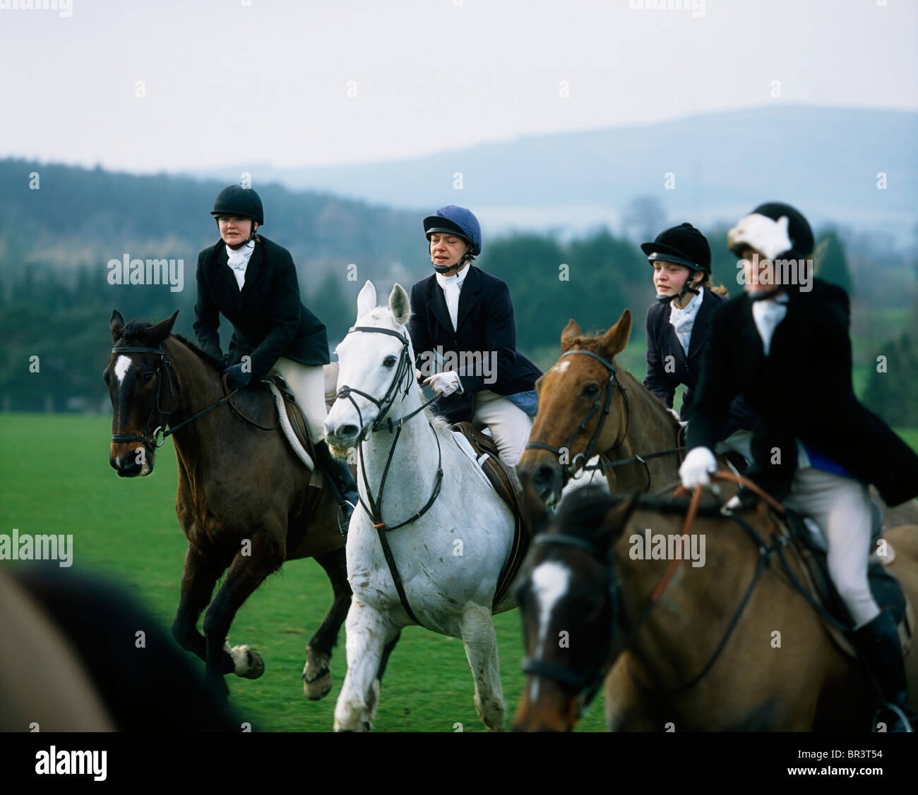 Bray co wicklow ireland hi-res stock photography and images - Alamy