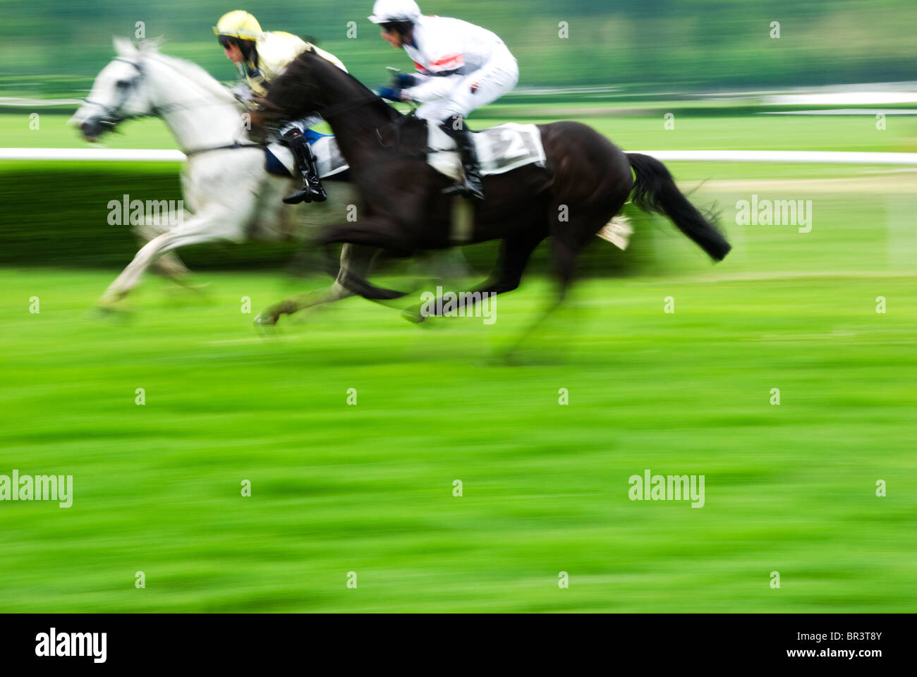 final sprint during a horse race Stock Photo - Alamy