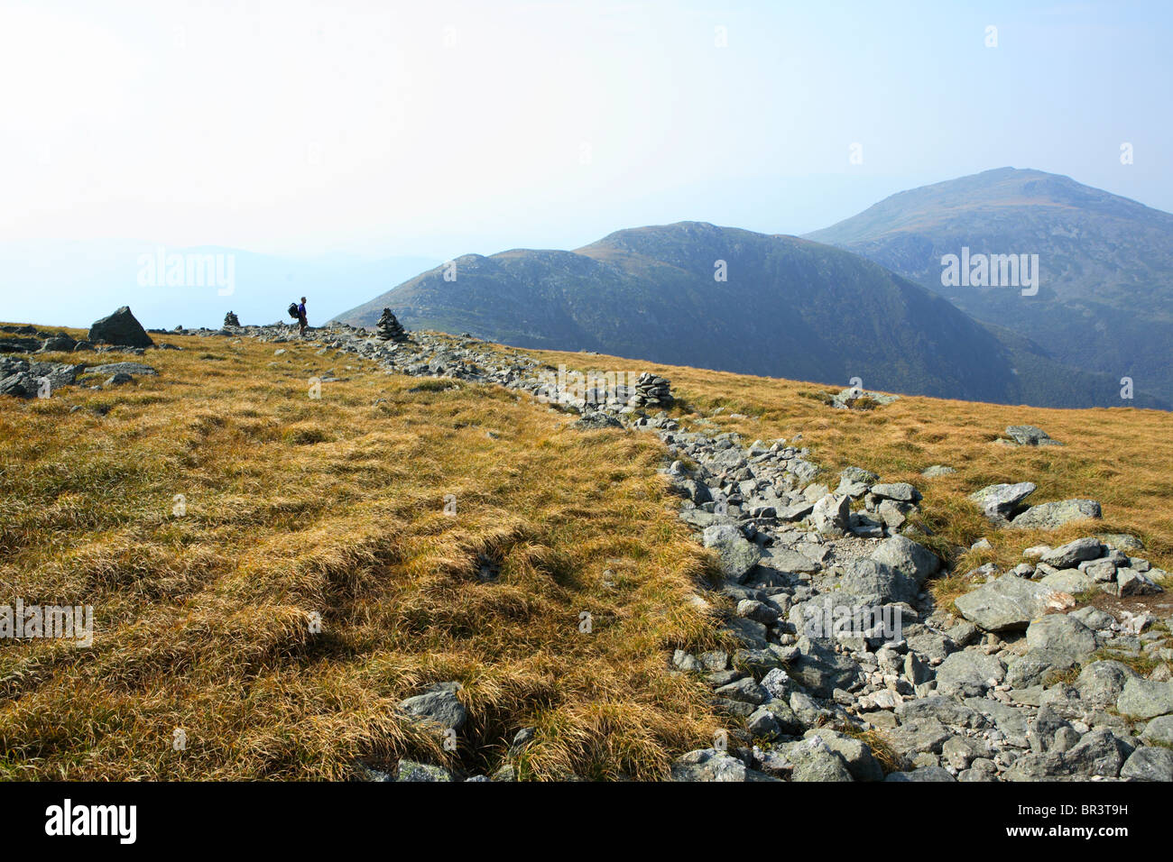 Mt washington treeline hi-res stock photography and images - Alamy