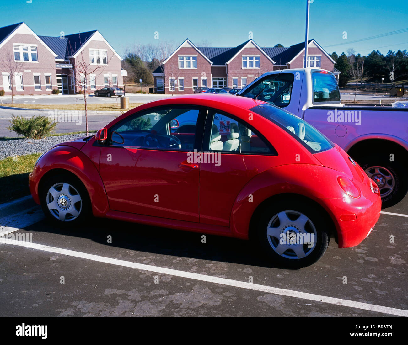 E beetle hi-res stock photography and images - Alamy