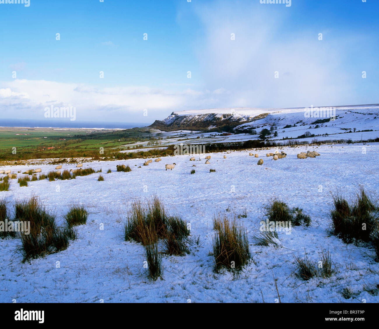 Binevenagh, Co Derry, Northern Ireland, Windy Hill, Irish Winter Scene ...