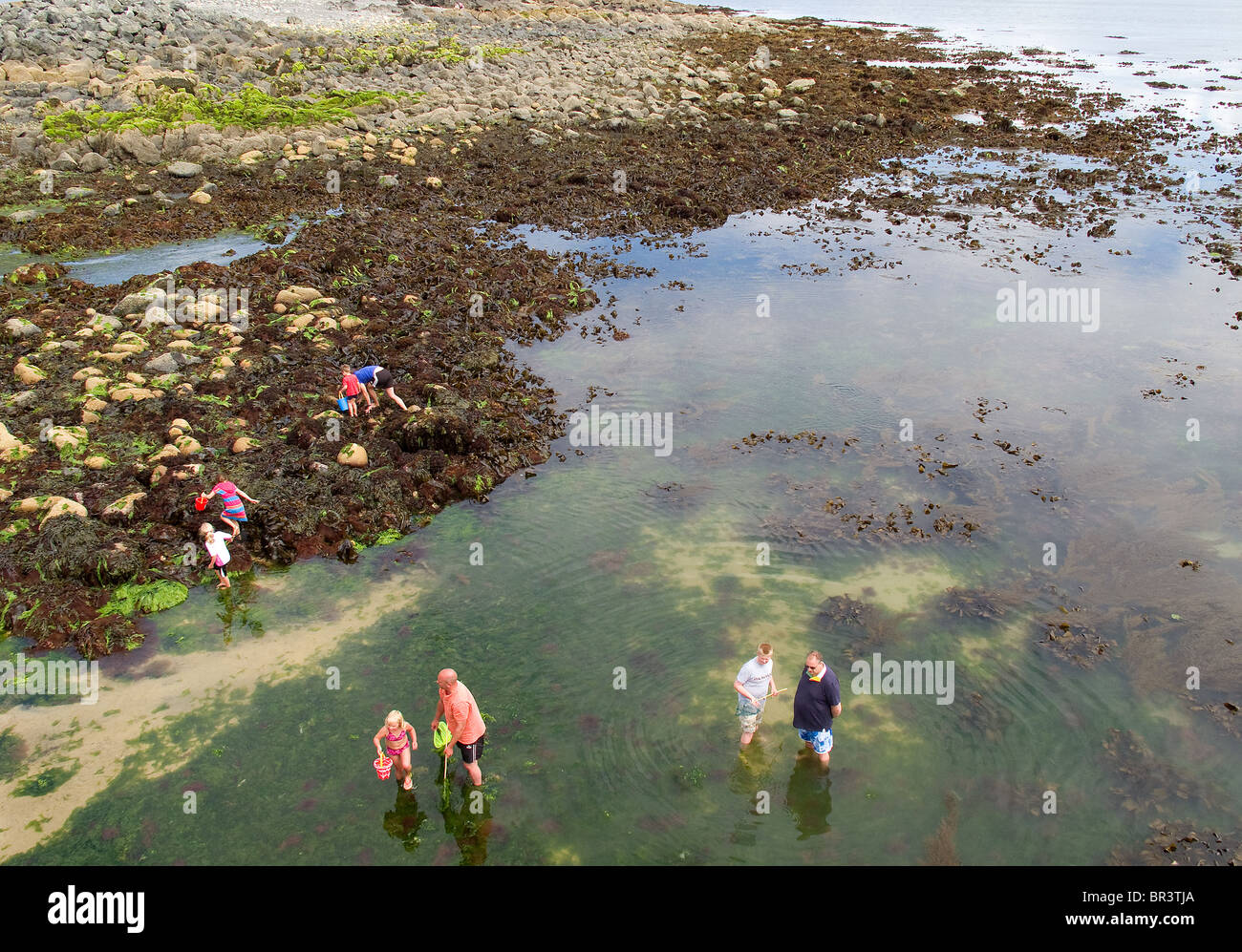 Holidaymakers exploring rock pools at low tide in Cornwall. Photo by ...