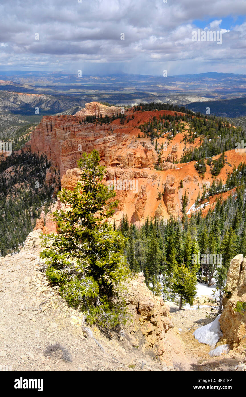 Rainbow Point Bryce Canyon National Park Utah Stock Photo - Alamy