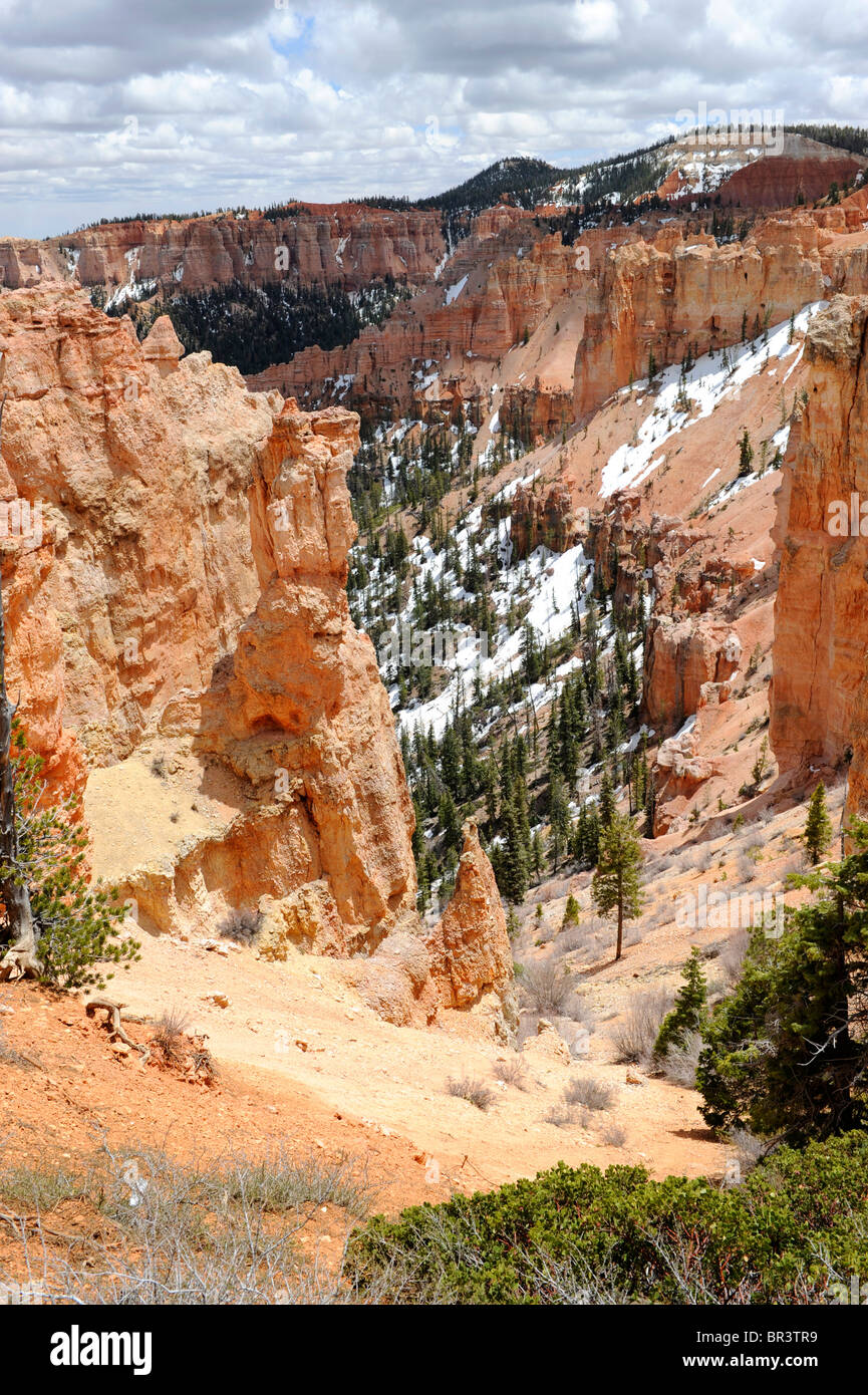 Black hills national forest camp hi-res stock photography and images ...