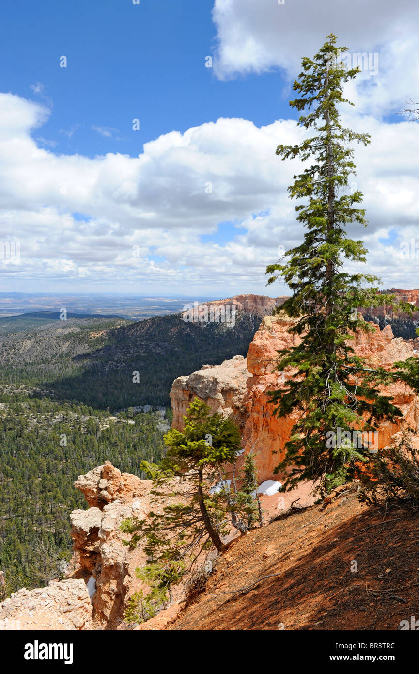 Black hills national forest camp hi-res stock photography and images ...