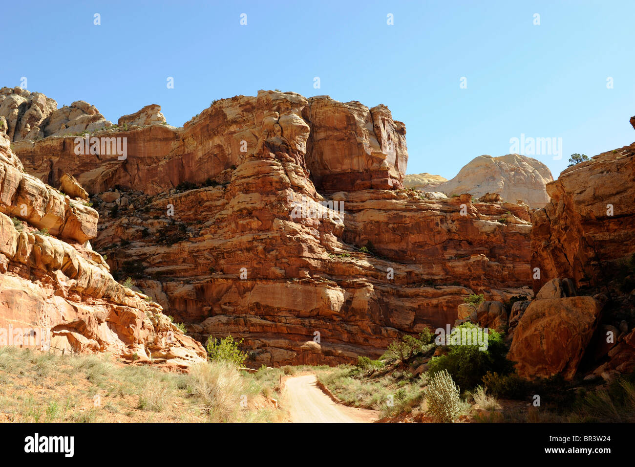 Capitol Gorge Area Capitol Reef National Park Utah Stock Photo - Alamy
