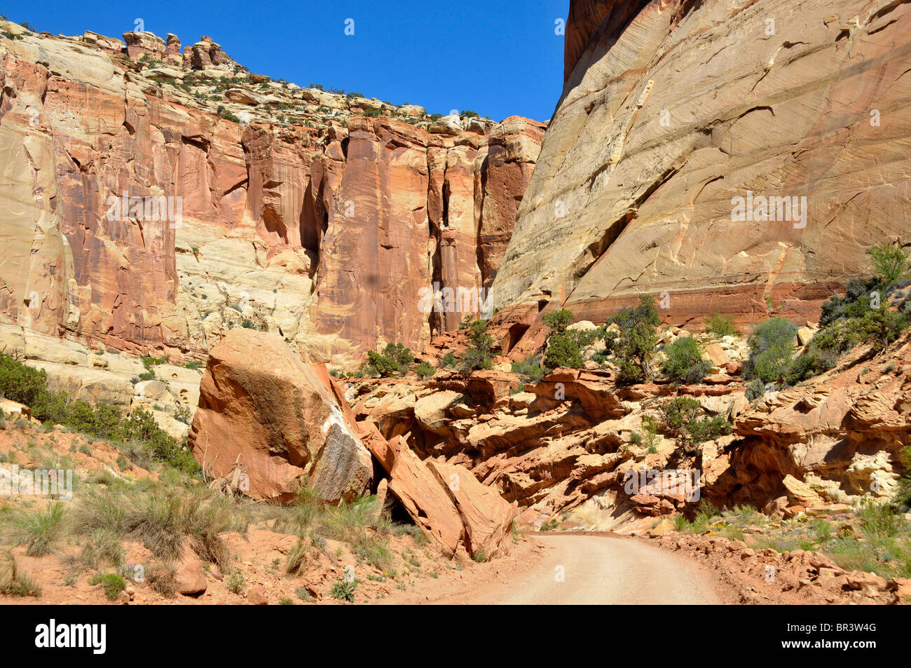 Capitol Gorge Area Capitol Reef National Park Utah Stock Photo - Alamy