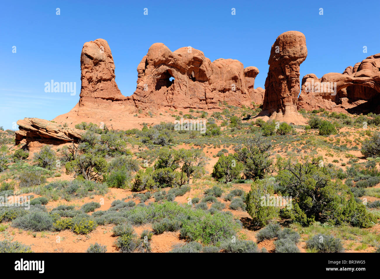 Dixie trailer park hi-res stock photography and images - Alamy