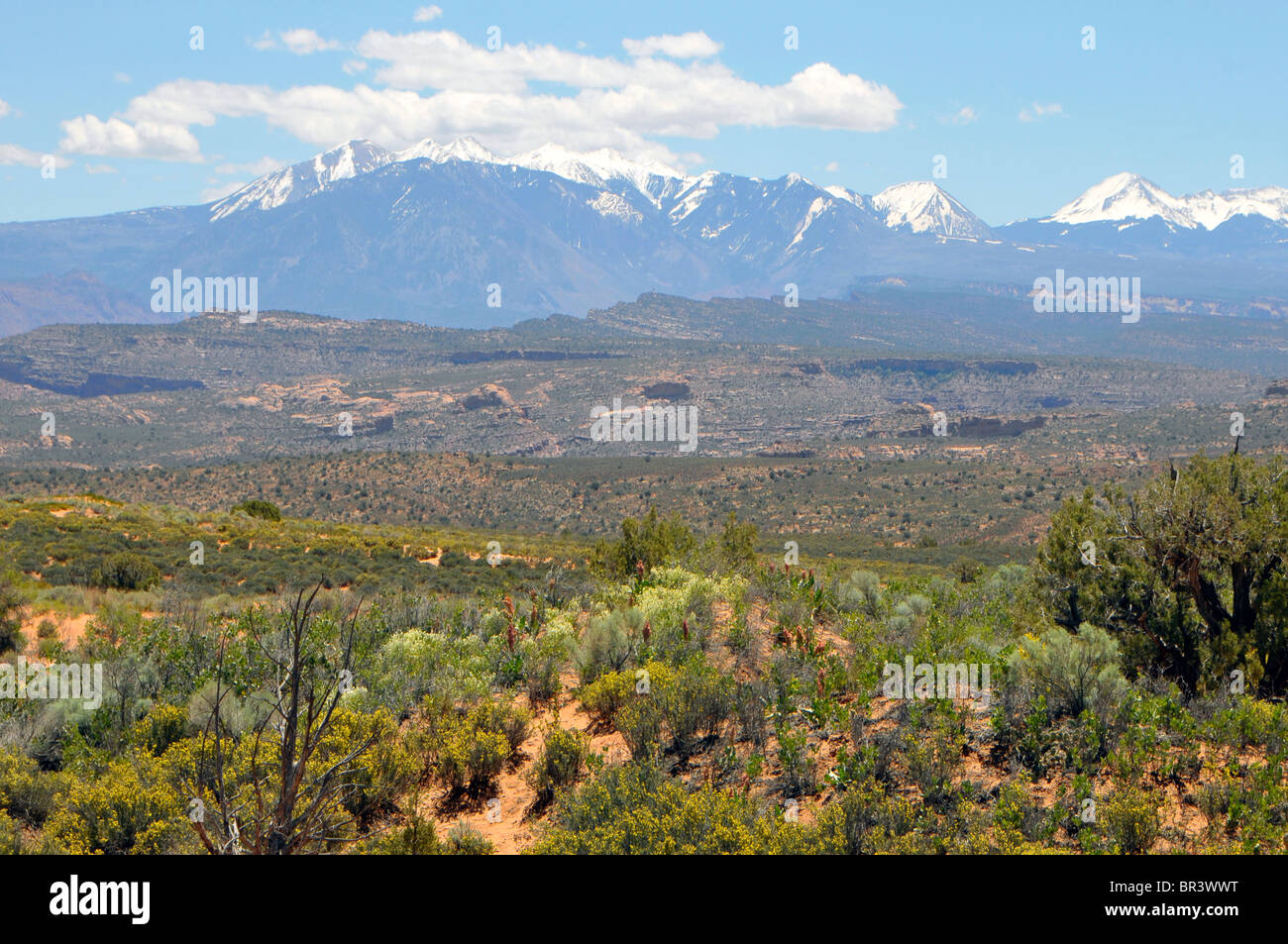 Salt Valley Arches National Park Moab Utah Stock Photo - Alamy