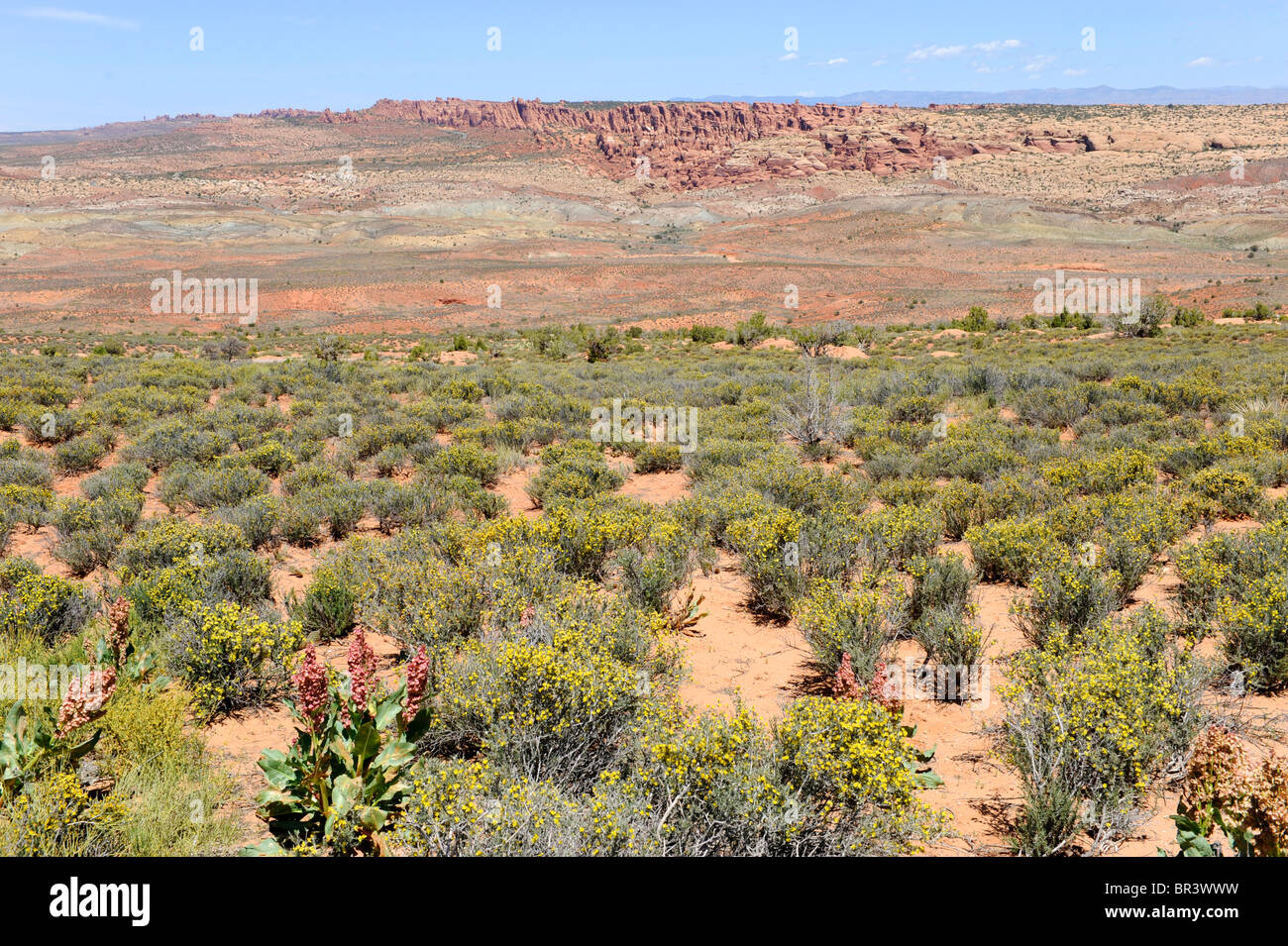 Salt Valley Arches National Park Moab Utah Stock Photo - Alamy