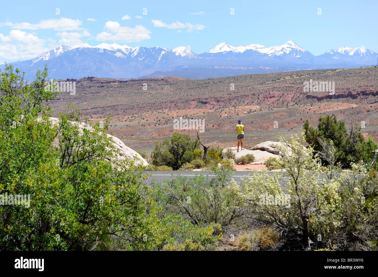 Salt Valley Arches National Park Moab Utah Stock Photo - Alamy