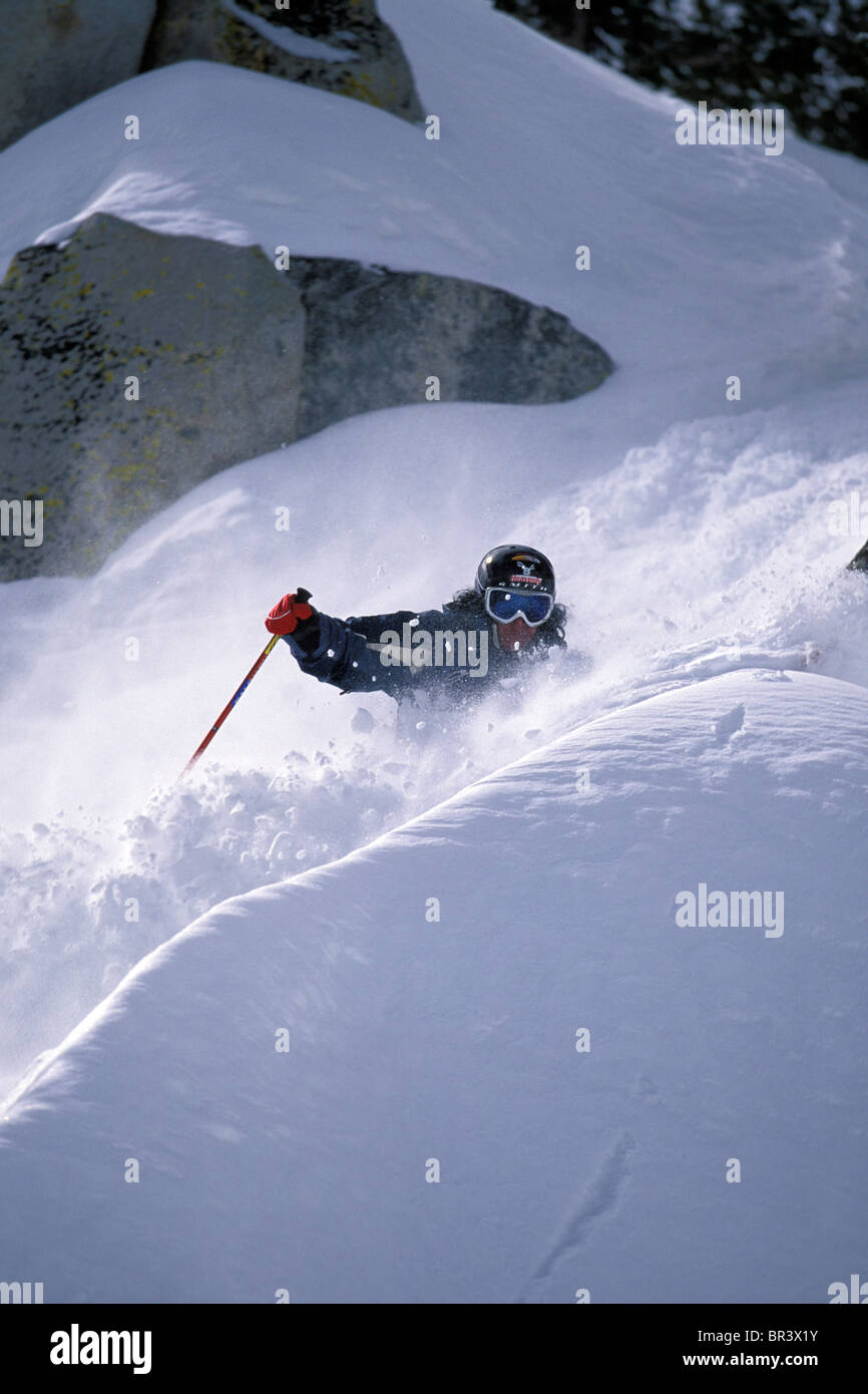 Skier making fresh tracks in deep powder Stock Photo - Alamy