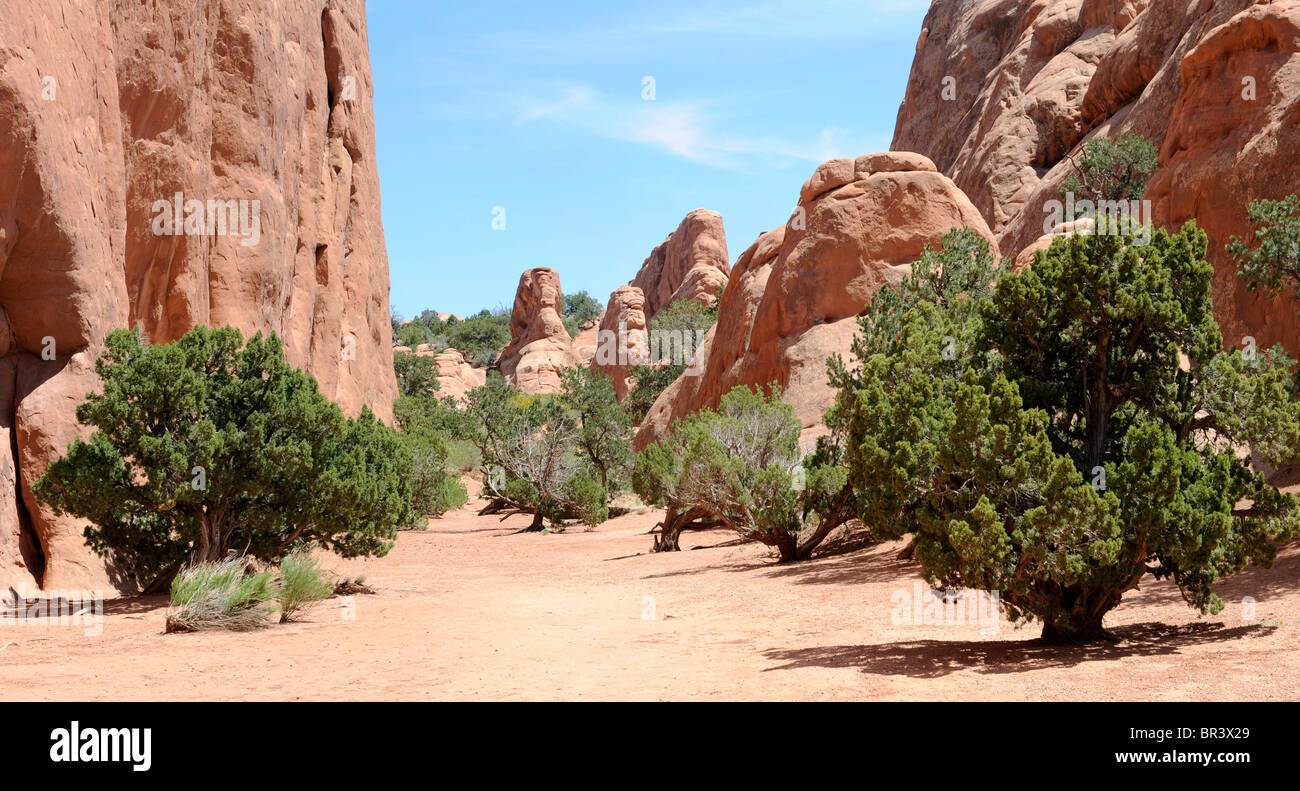 Devil's Garden Area Arches National Park Moab Utah Stock Photo - Alamy