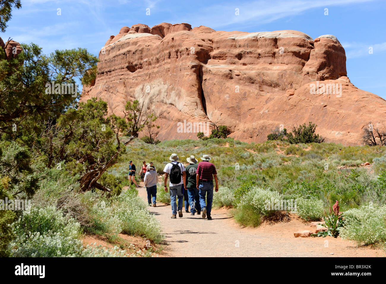 Dixie walker hi-res stock photography and images - Alamy