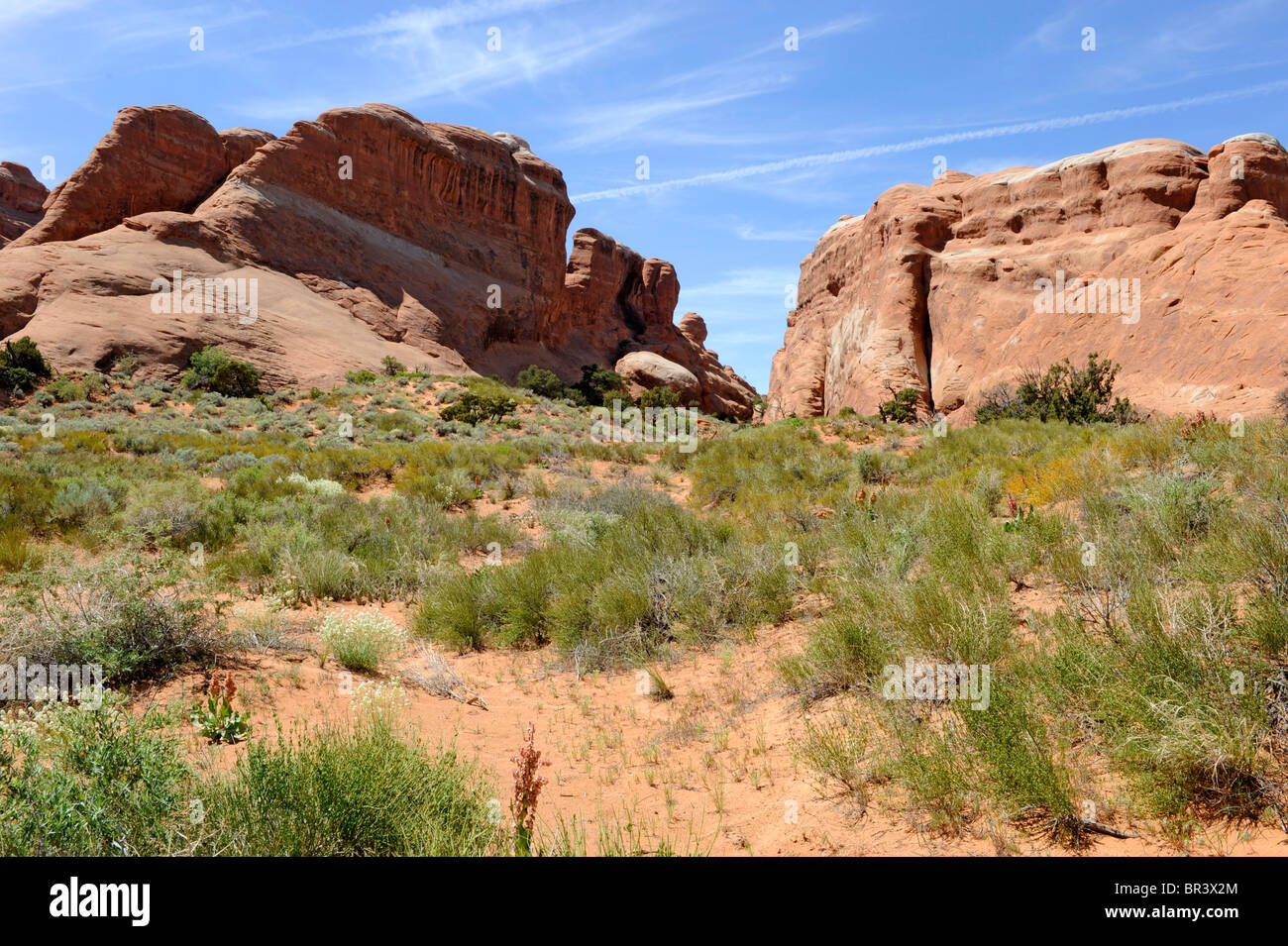 Devil's Garden Area Arches National Park Moab Utah Stock Photo - Alamy