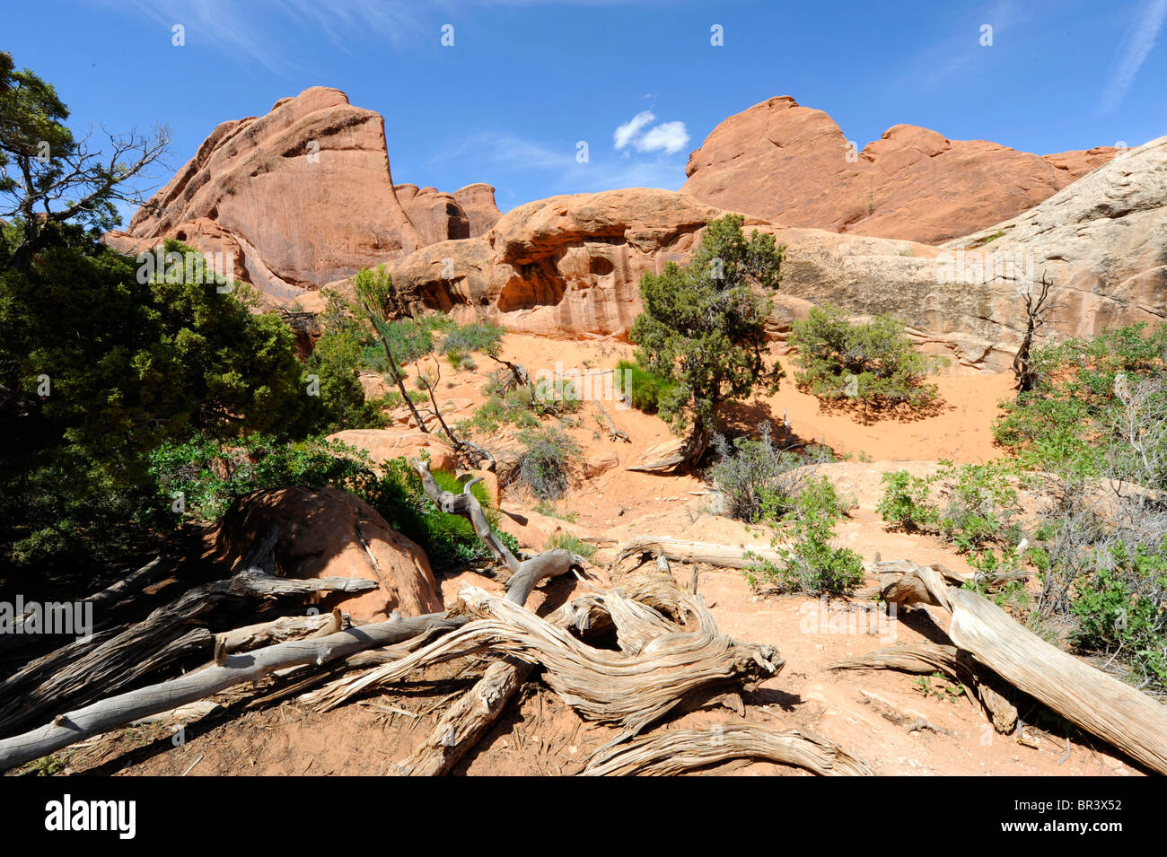 Devil's Garden Area Arches National Park Moab Utah Stock Photo - Alamy