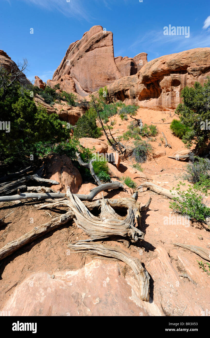 Devil's Garden Area Arches National Park Moab Utah Stock Photo - Alamy