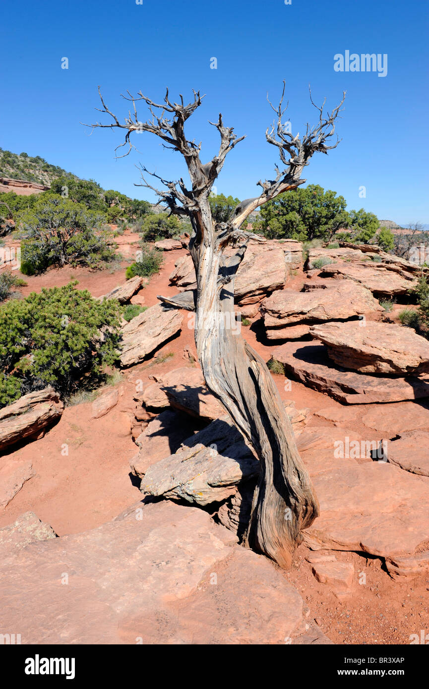 Grandview hike hi-res stock photography and images - Alamy