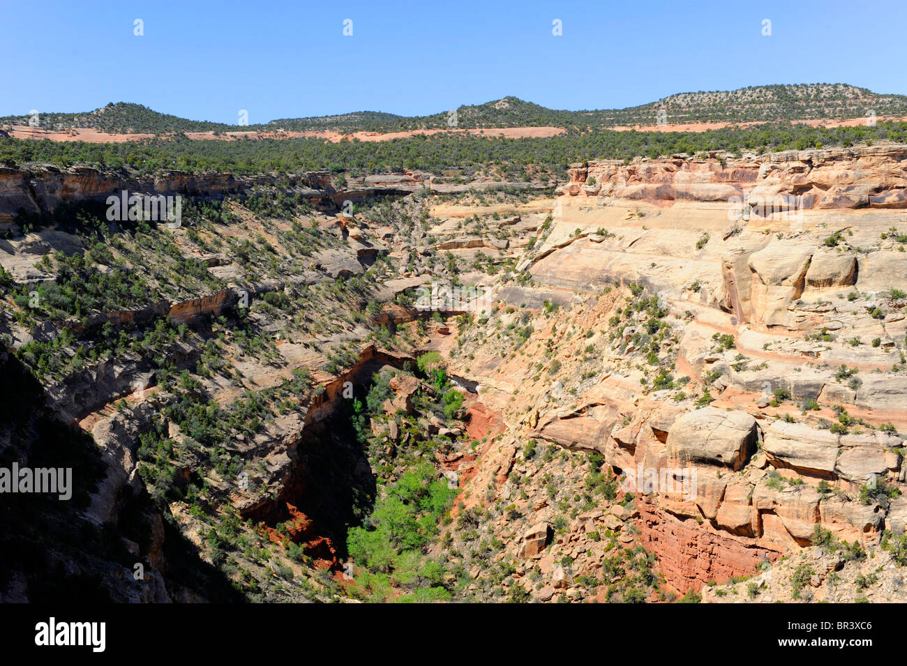 Cold shivers point hi-res stock photography and images - Alamy