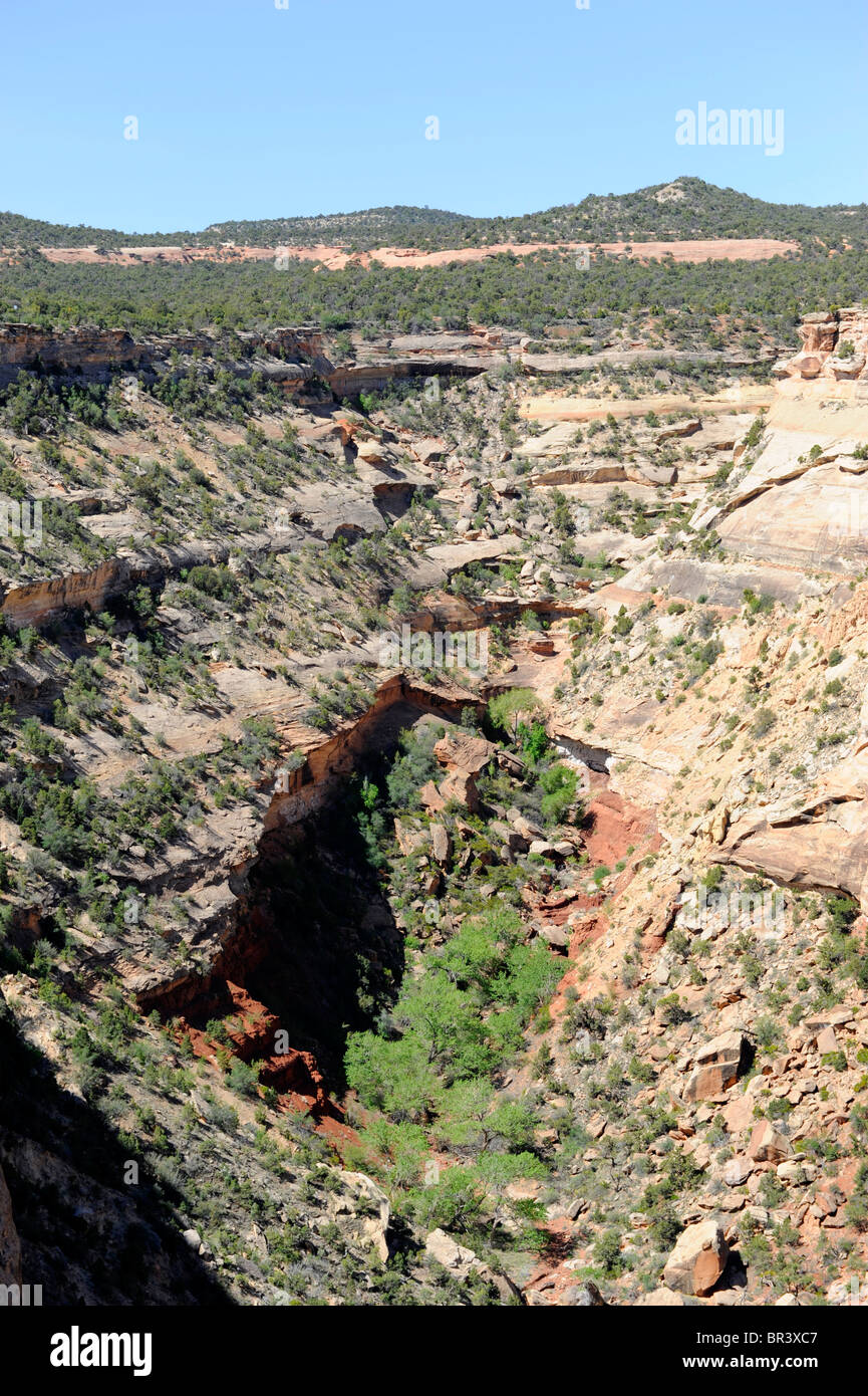 Cold Shivers Point Colorado National Monument Grand Junction Stock ...