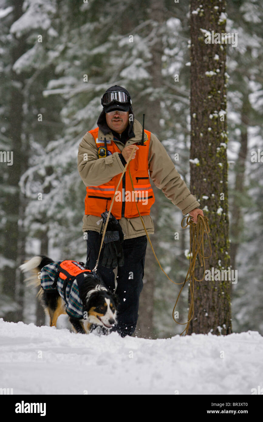 Search and Rescue dog leading a man through the snow in the woods Stock ...