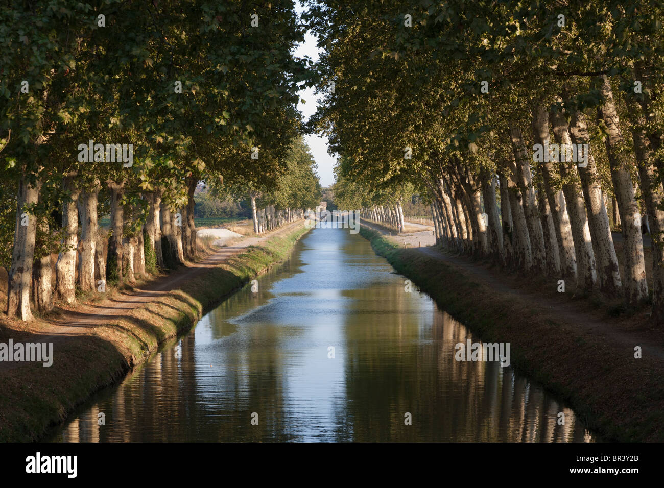 Tree lined canal Stock Photo - Alamy