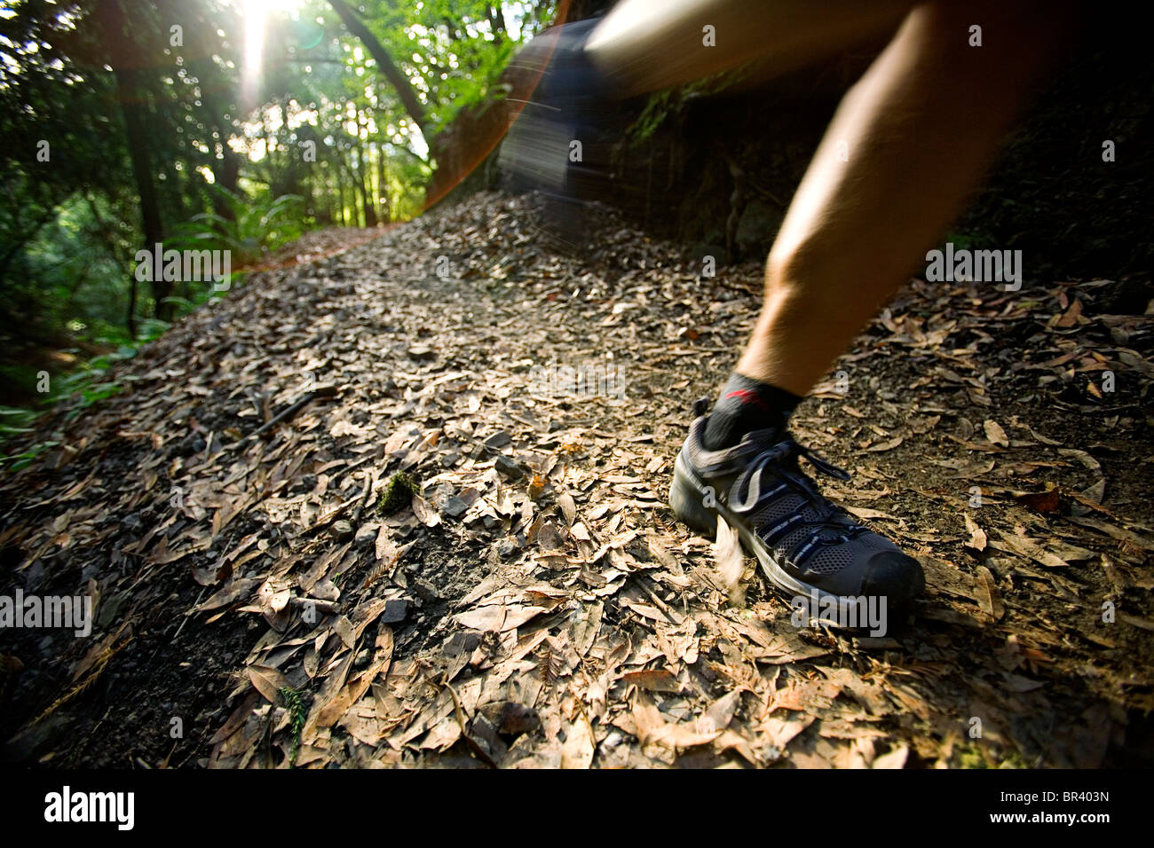 Man trail running in the woods Stock Photo - Alamy