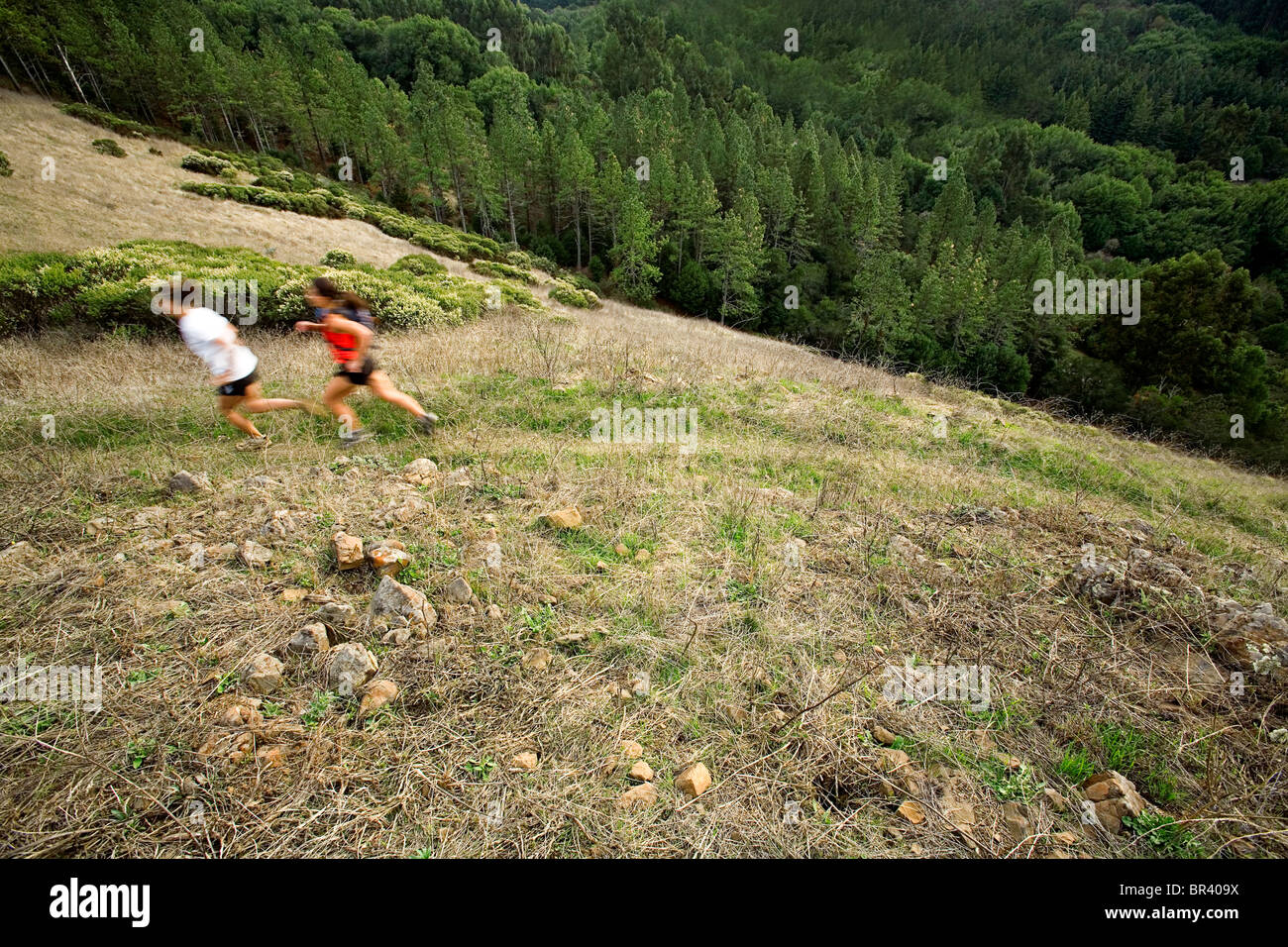 Two women trail running together Stock Photo - Alamy