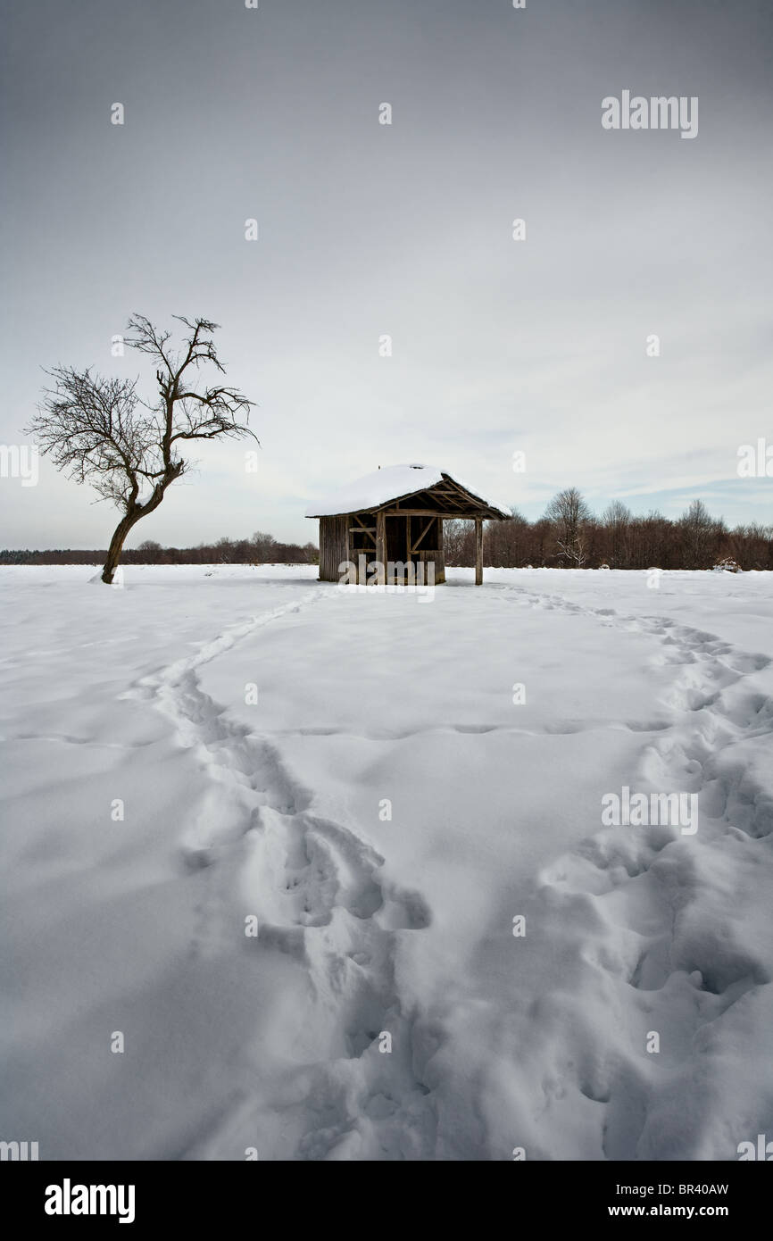 Landscape with a dead tree and a shelter, with footsteps trailing ...