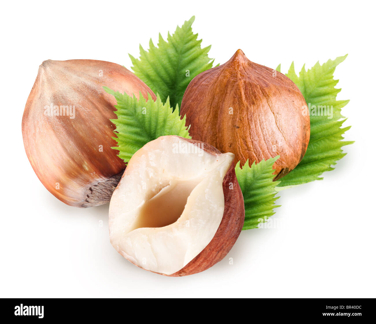 Group of filberts with leaves. Isolated over white Stock Photo - Alamy