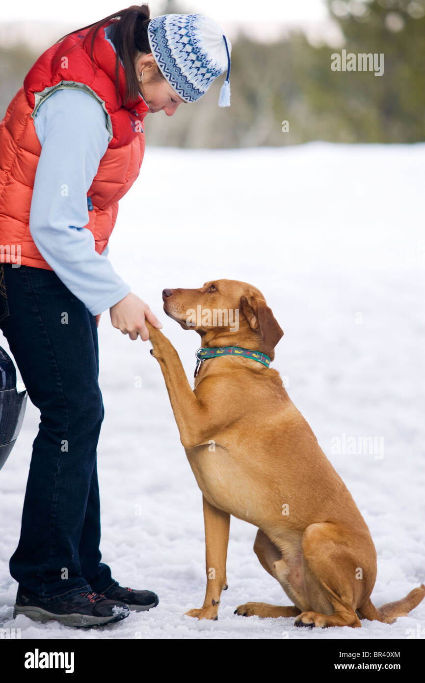 Wilson the dog hi-res stock photography and images - Alamy