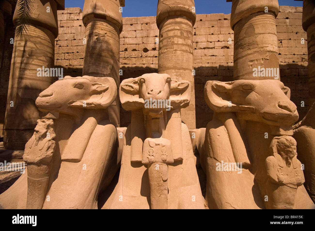 Ram statues at Luzor Stock Photo - Alamy