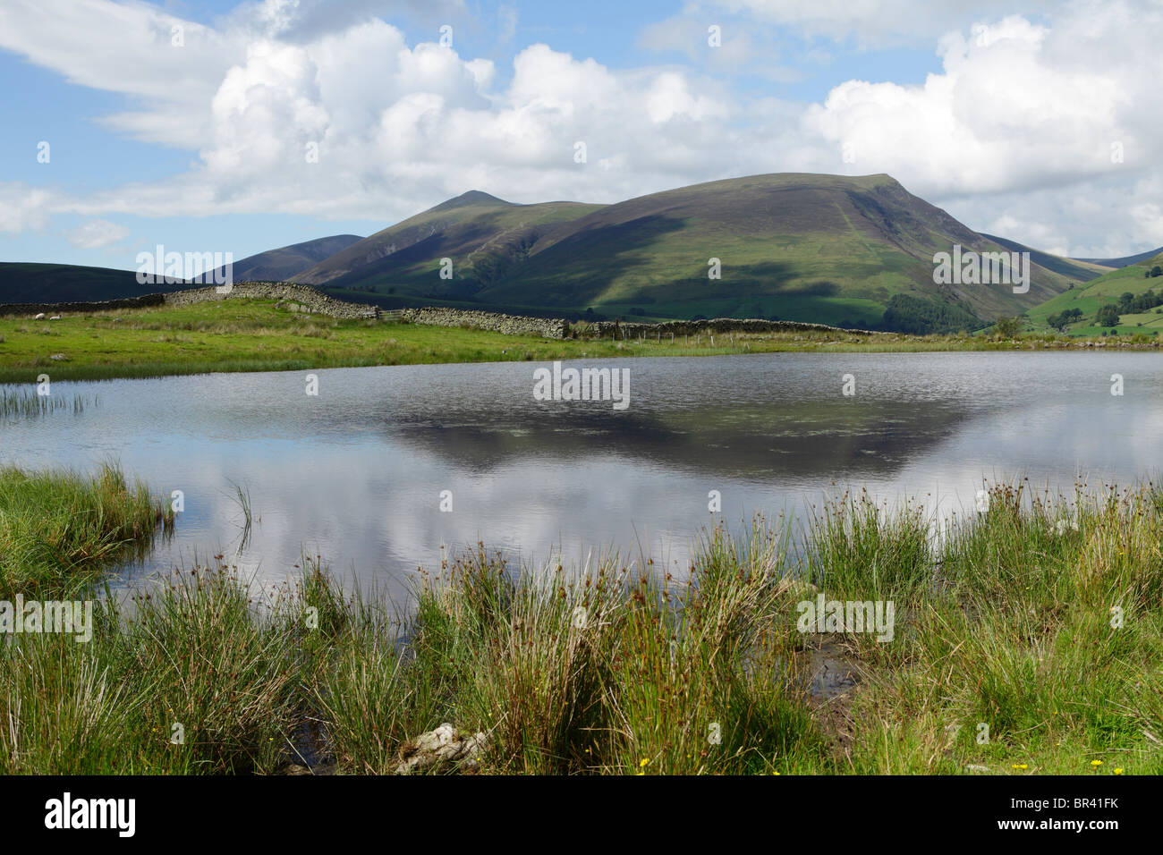 Skiddaw tewit tarn hi-res stock photography and images - Alamy