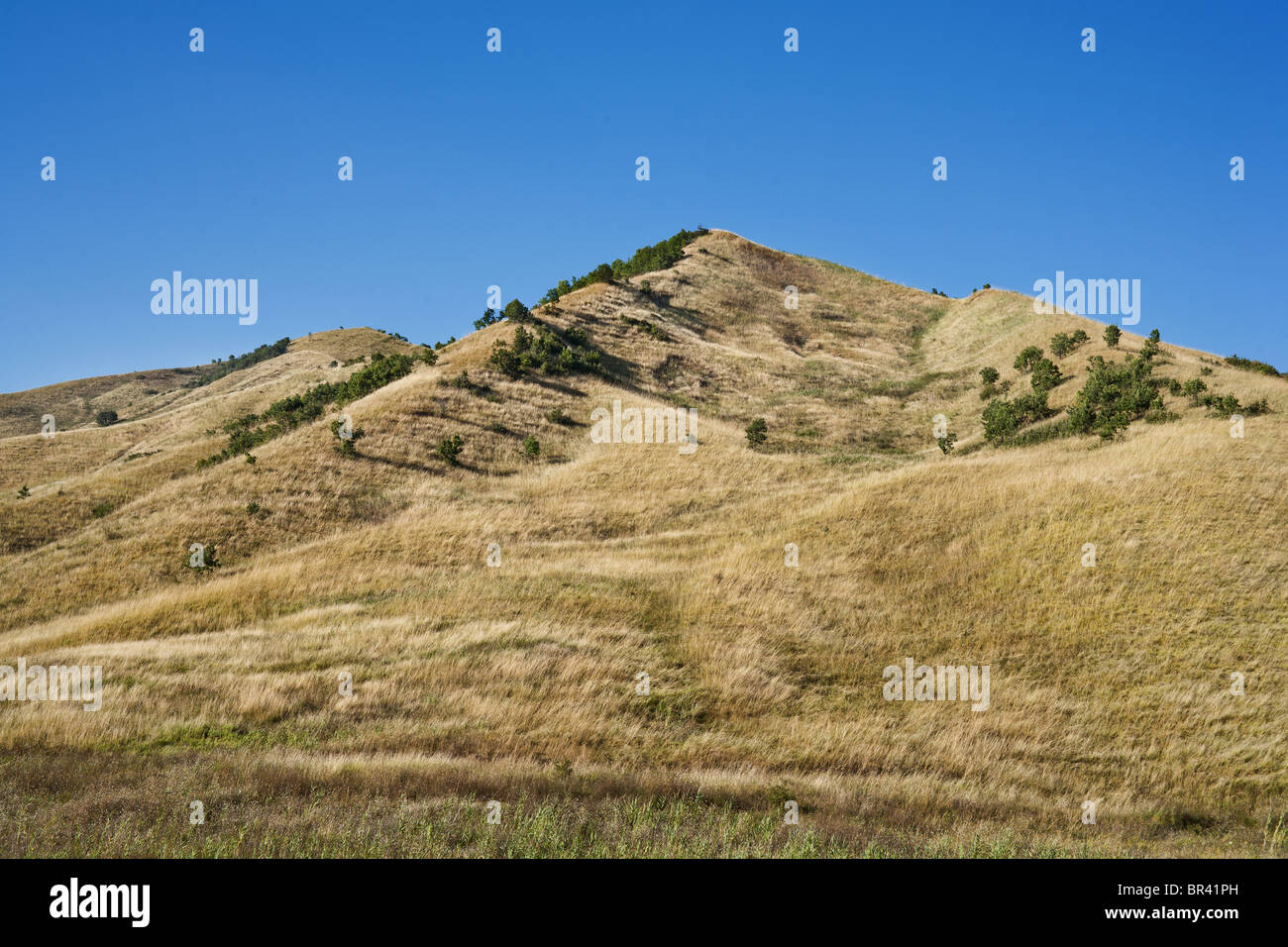 High grassfield hi-res stock photography and images - Alamy