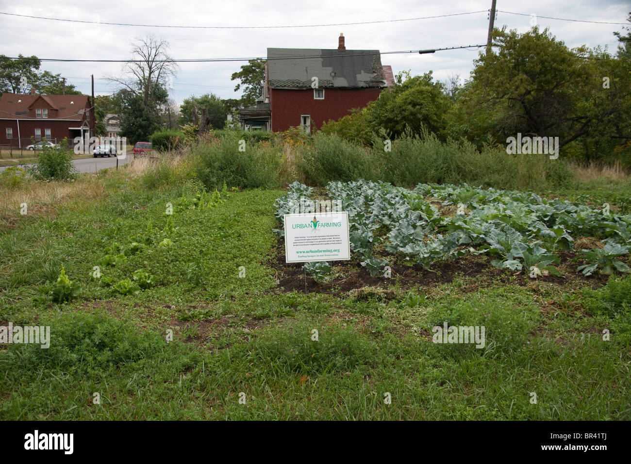Detroit city garden hi-res stock photography and images - Alamy
