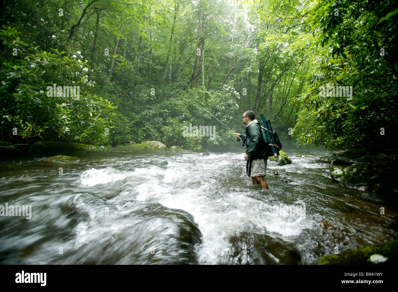 Male fly-fishing on Noland Creek in the Great Smoky Mountains National ...