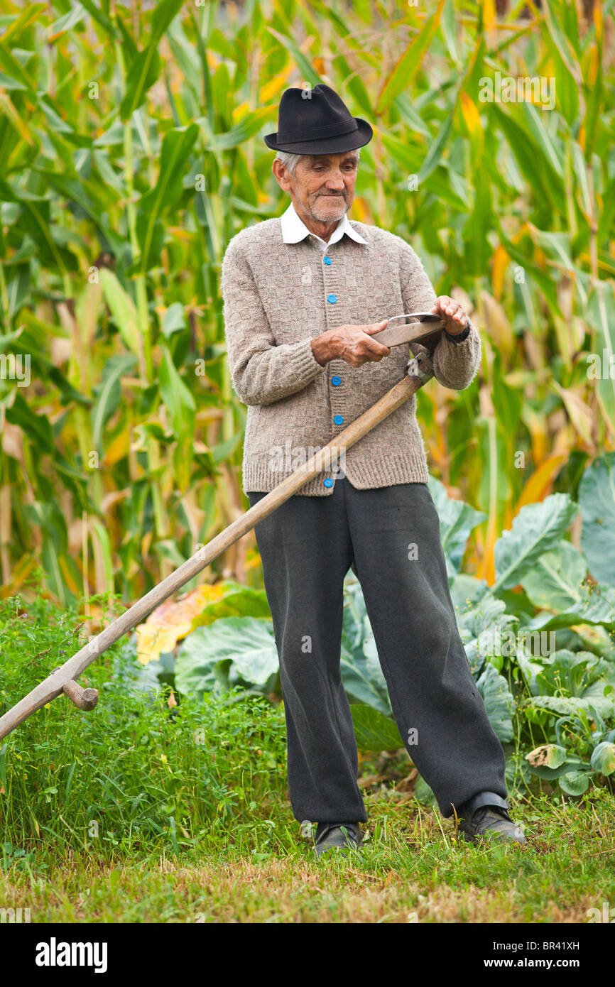 Scythe grass history hi-res stock photography and images - Alamy