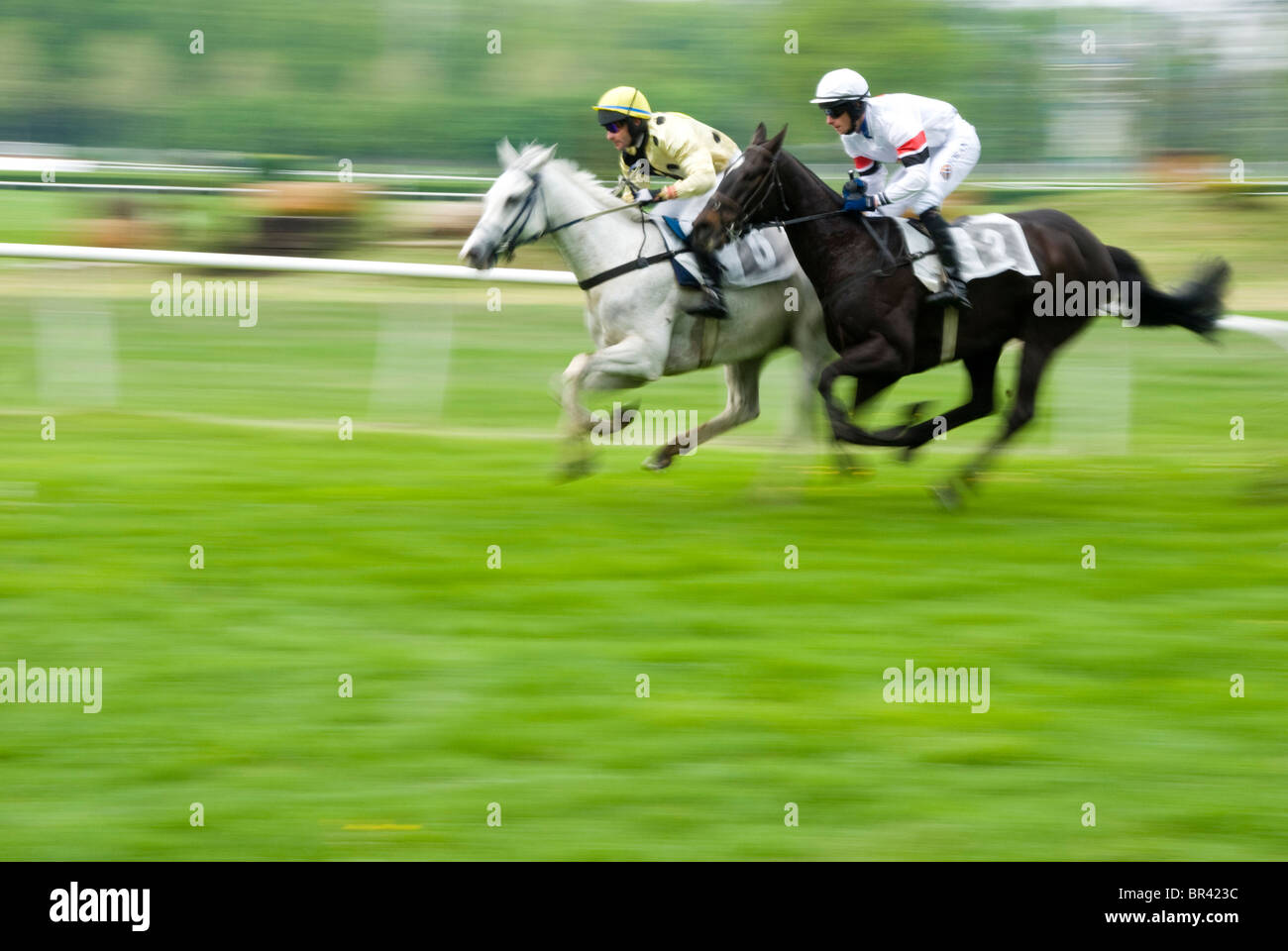 final sprint during a horse race Stock Photo - Alamy