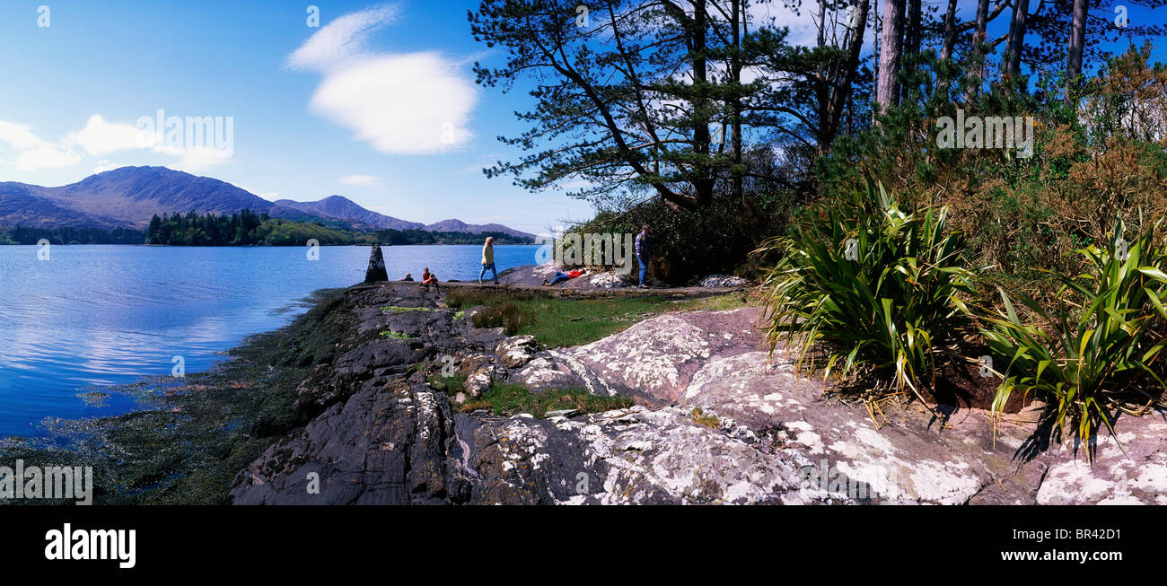 Beara Peninsula, Co Kerry, Ireland, Derreen Gardens Stock Photo - Alamy