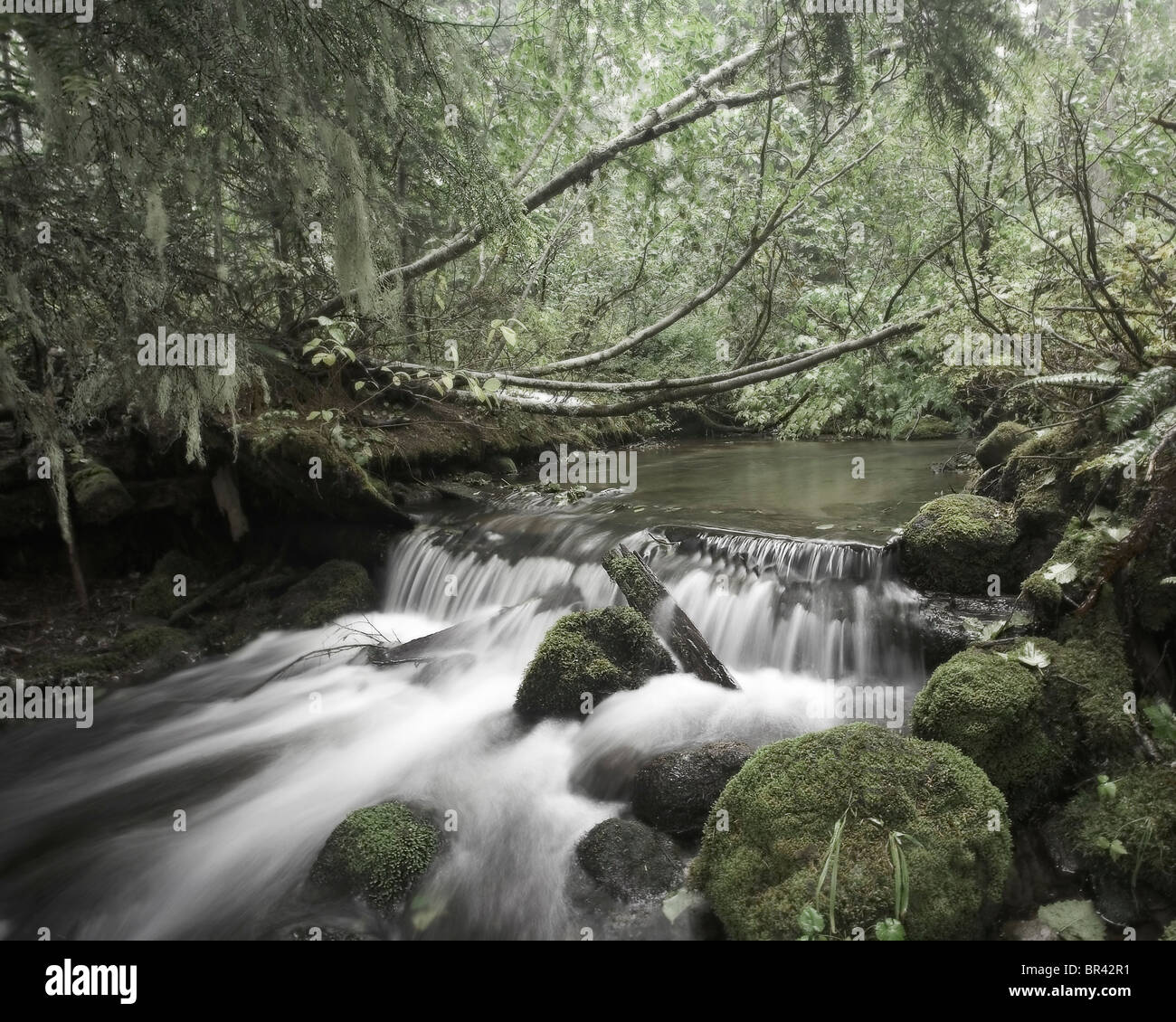 Pond and Stream Stock Photo - Alamy