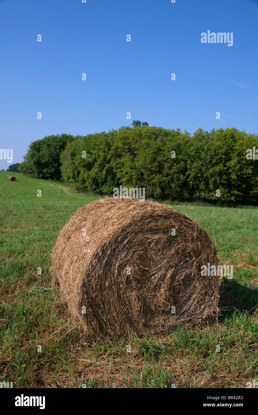 Forage silos hi-res stock photography and images - Alamy