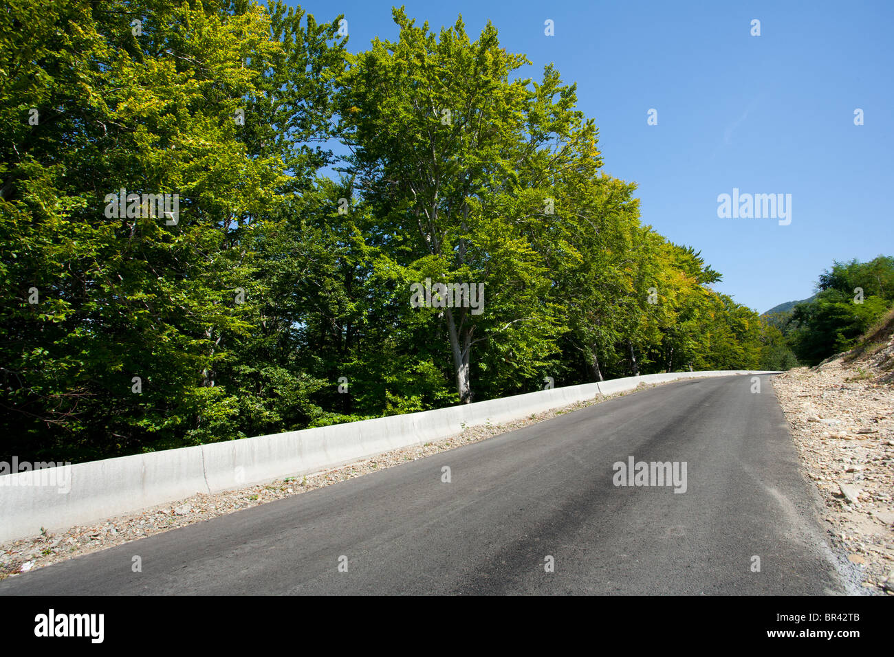 Landscape with a road going through trees under blue sky Stock Photo ...