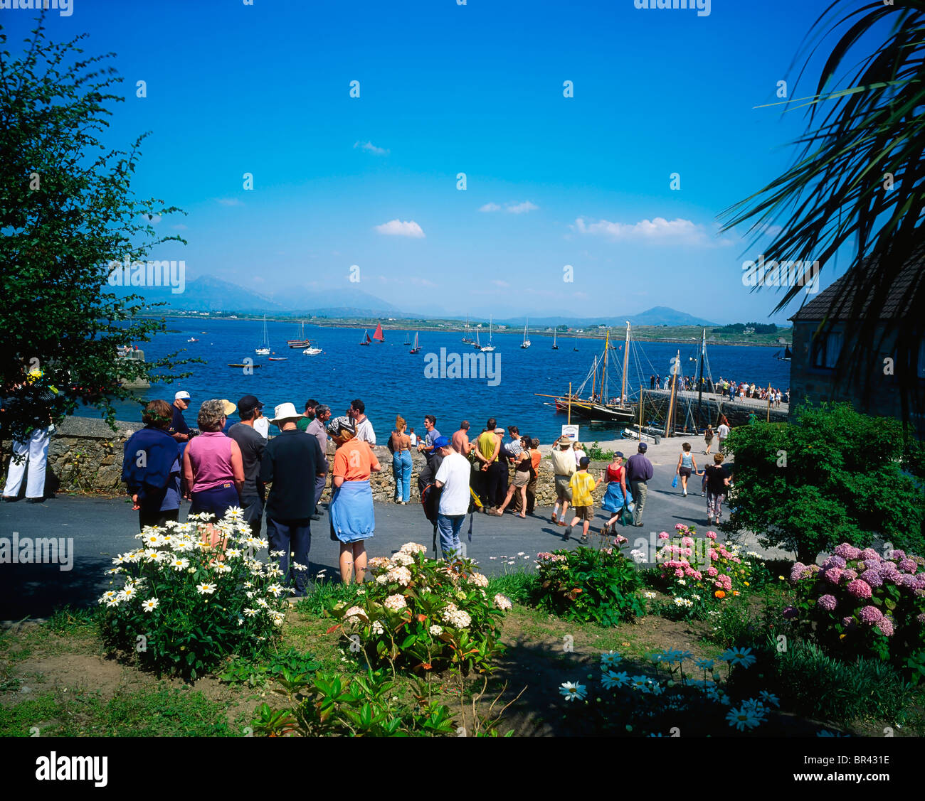 Irish regatta hi-res stock photography and images - Alamy